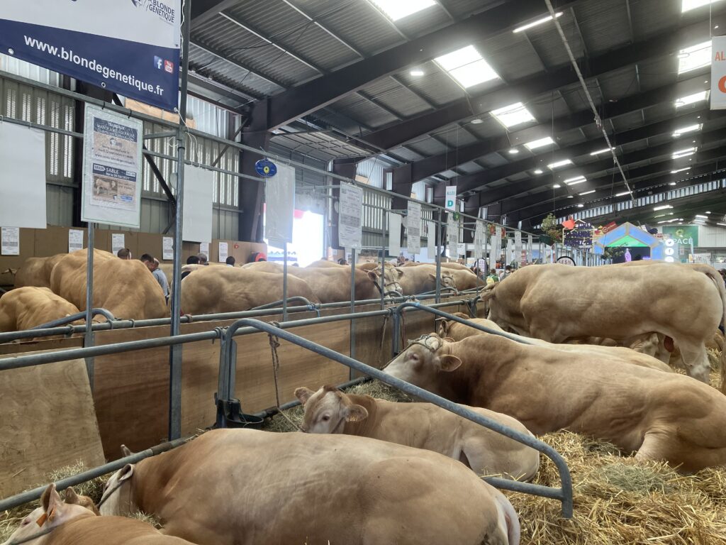 ACTUALITÉS - METYS INRAE TRANSFERT